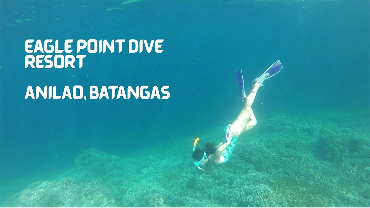 Eagle Point Beach and Dive Resort | Valentines 2019 - YouTube