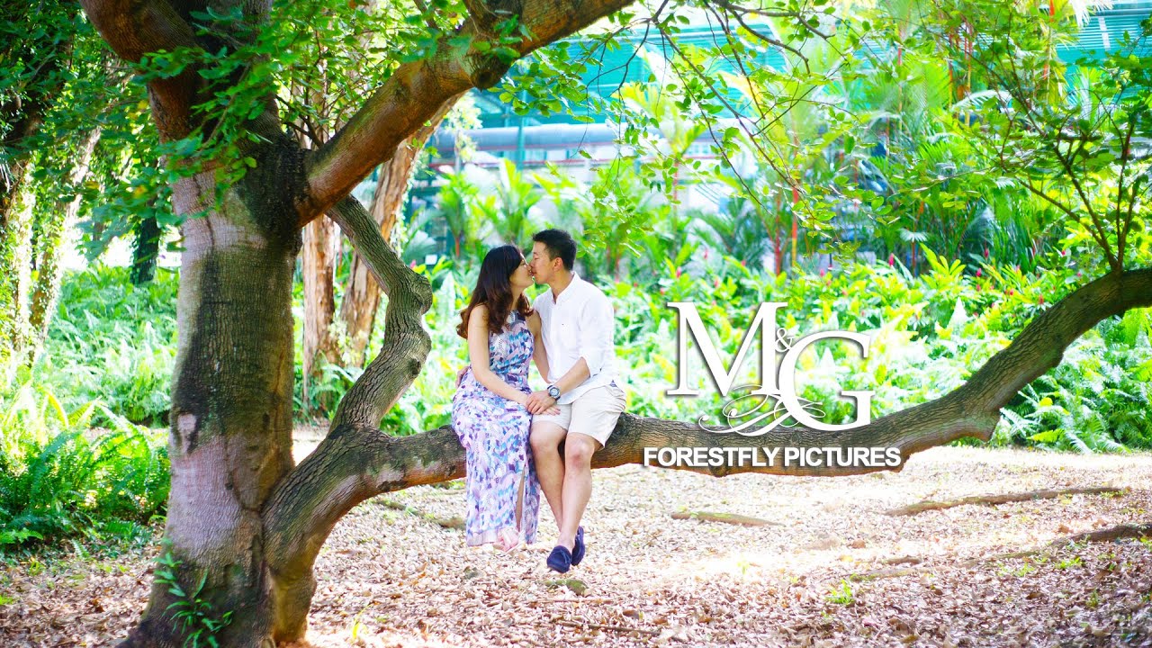 Max & Grace Wedding Montage At Fairmont Singapore - YouTube