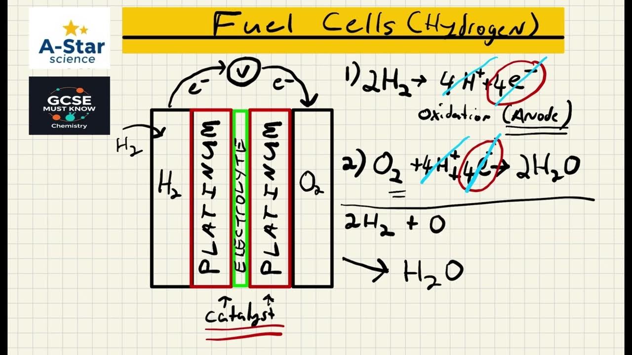Fuel Cells (GCSE Separate Chemistry) - [GCSE Chemistry - Must Know ...