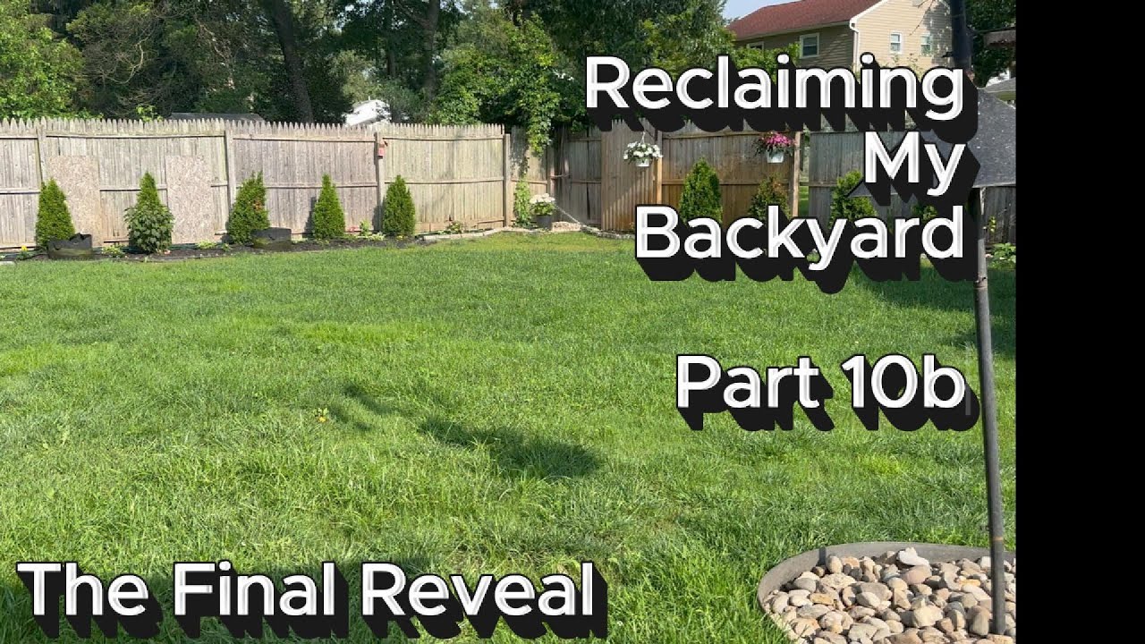 Ep14 | Reclaiming My Backyard | Part 10b - YouTube