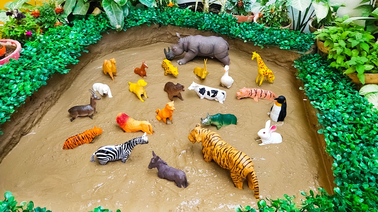 Big African Rhinoceros Farm Animals Safari Animals Zoo Animals Stuck in ...