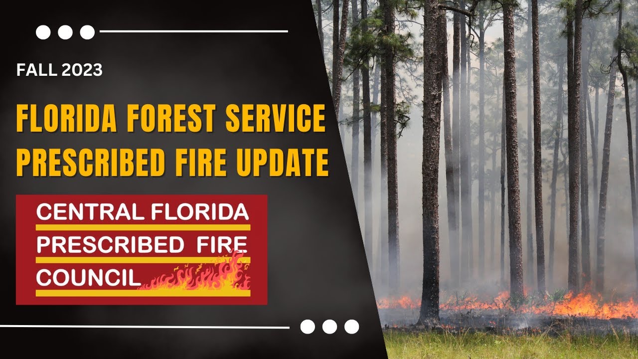 Florida Forest Service Update - YouTube