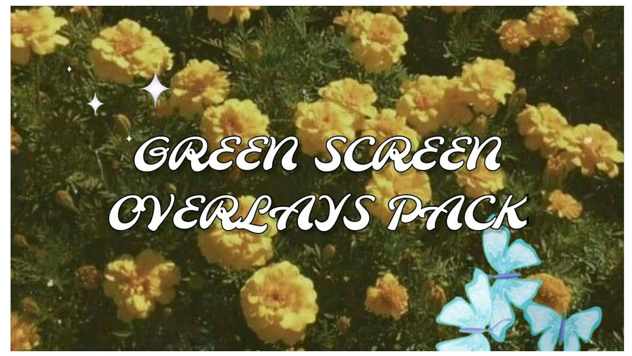 ANIMATED AESTHETIC GREEN SCREEN OVERLAY PACK #6💖 - YouTube