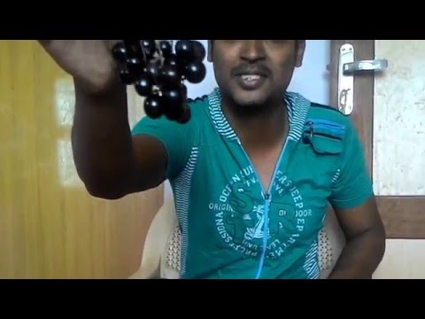 Magic or Illusion - Grape into vine #HD