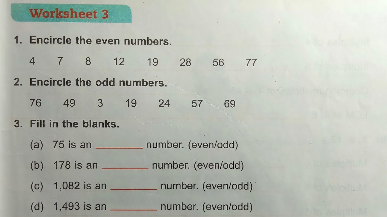 Class 5 unit 3 worksheet 3 dav public school ।। DAV Class 5 chapter 3 ...