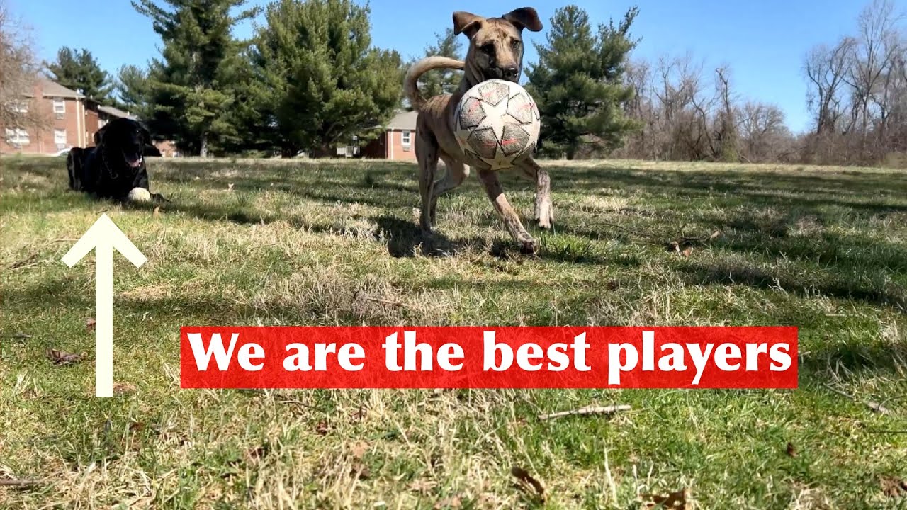 This is how we play soccer - YouTube