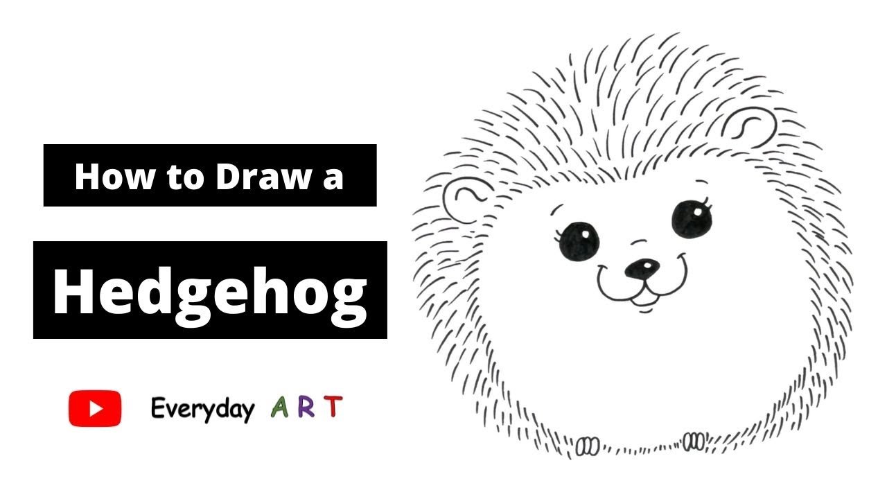 Art 086 - How to Draw a Baby Hedgehog - Easy Cartoon Drawing 2021 - YouTube