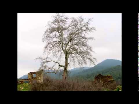 Herediya - Yalçın Sağlık