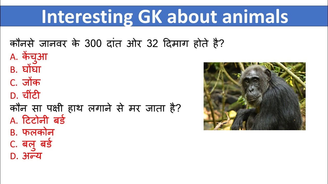 Interesting GK questions about animals|Amazing animal part 02|Let's ...