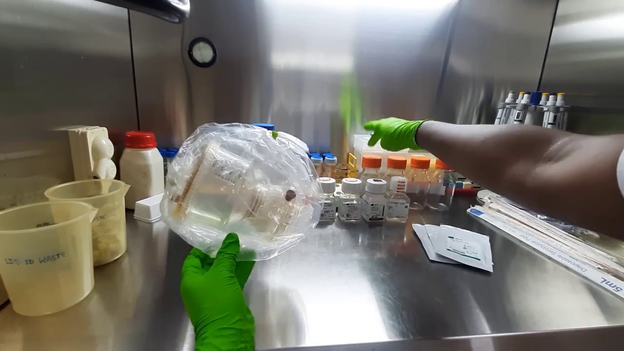 Cell biology lab filter - YouTube
