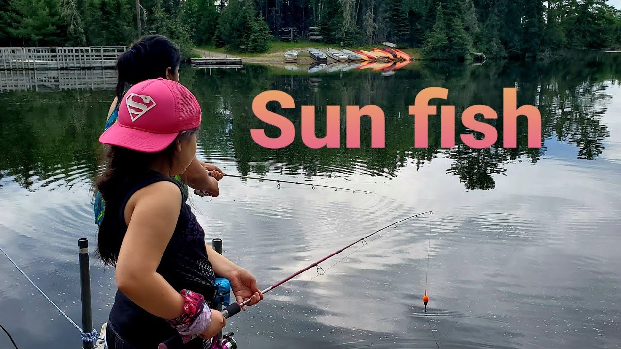 Sun Fishing - YouTube