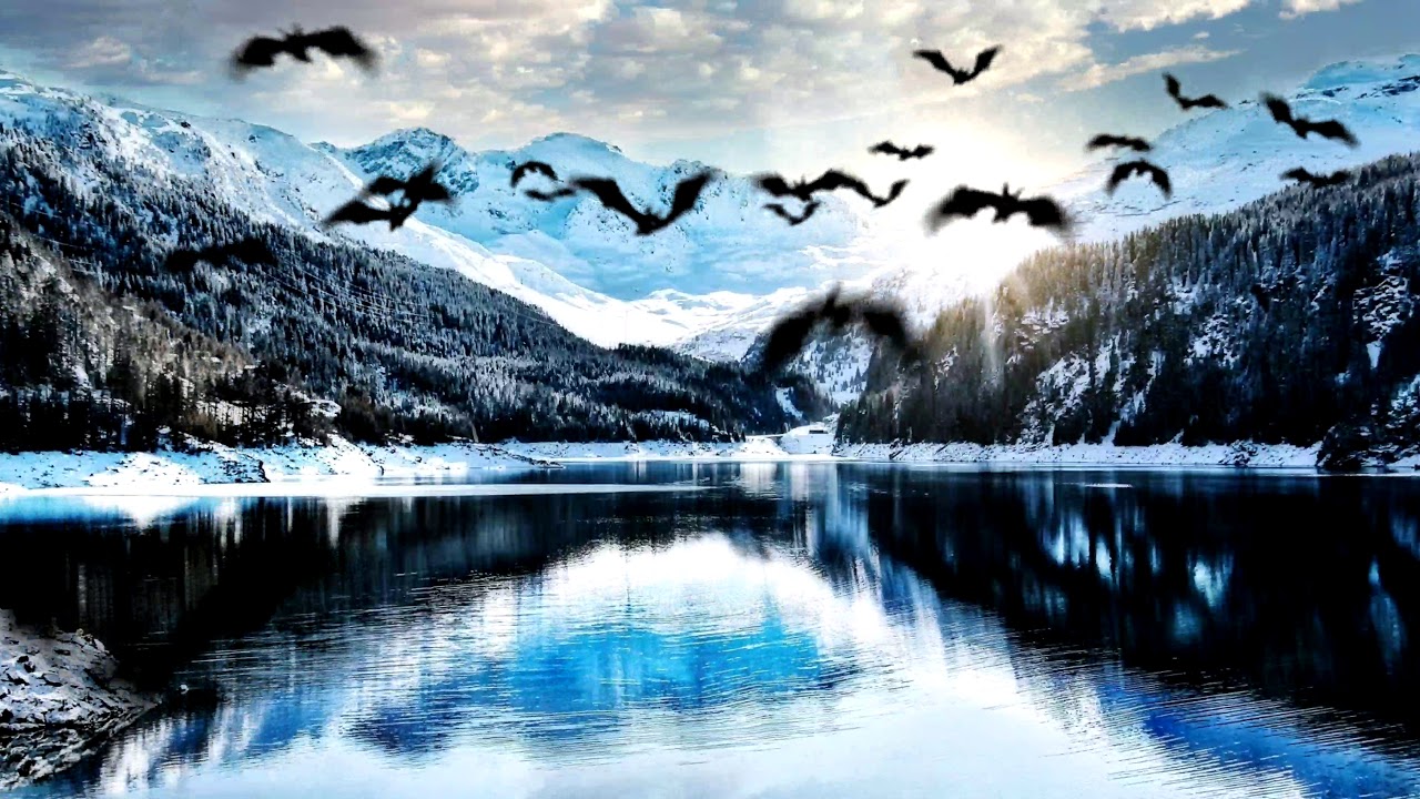 A Beautiful Nightmare - YouTube