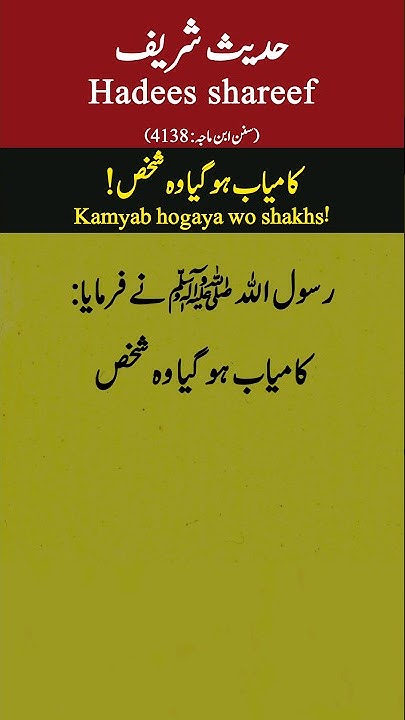 Kamyab hogaya wo shakhs 😍 ️ | #Hadees | Way for Jannah #shorts #youtubeshorts #shortvideo # ...