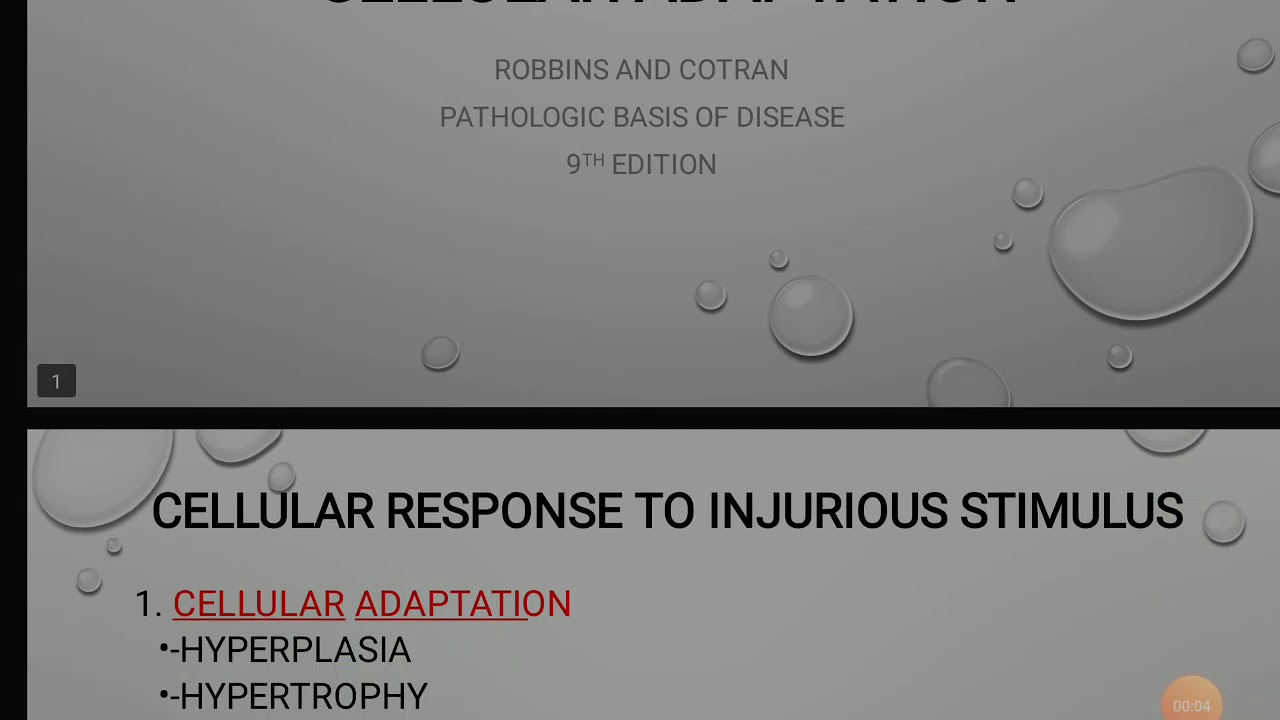 Pathology - Cellular adaptation - Robbins & Cotran - 9th Edition - YouTube