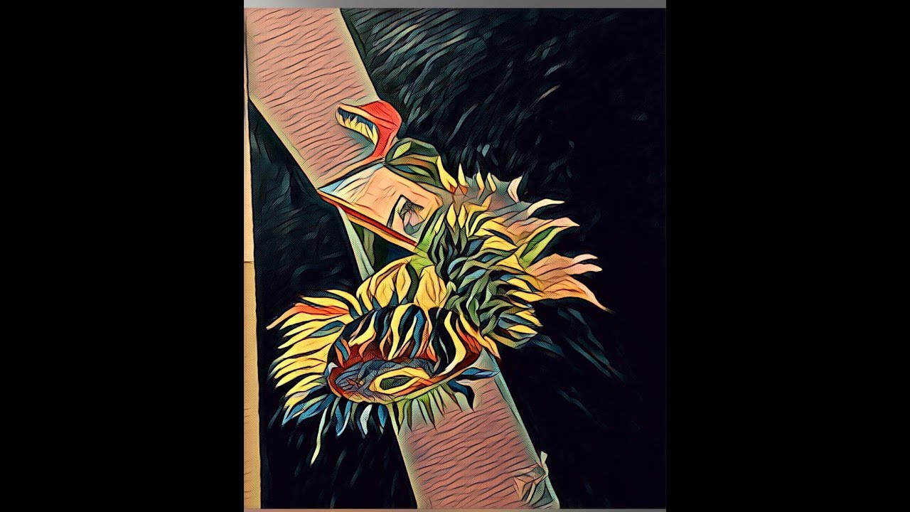 Healing Music17 Sing the Word of God-Psalm（Painting Breathes in Time ...