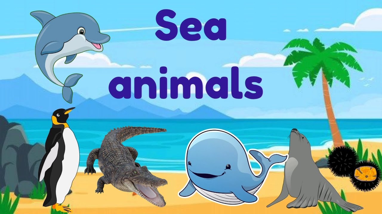 Sea Animals - Kids vocabulary - Learn English for kids - water animals ...