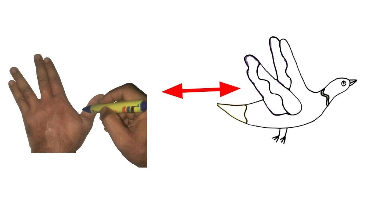 Drawing birds by hand | How to draw a bird by hand - YouTube