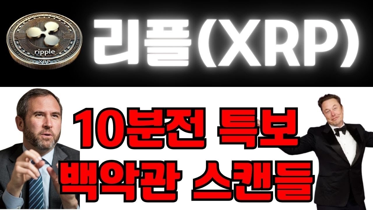 리플 백악관 최대 스캔들 머스크와 리플 일냈다리플 리플코인 Crypto Youtube