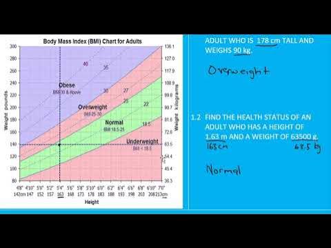 Grade 12 Mathslit: BMI (P2) - YouTube