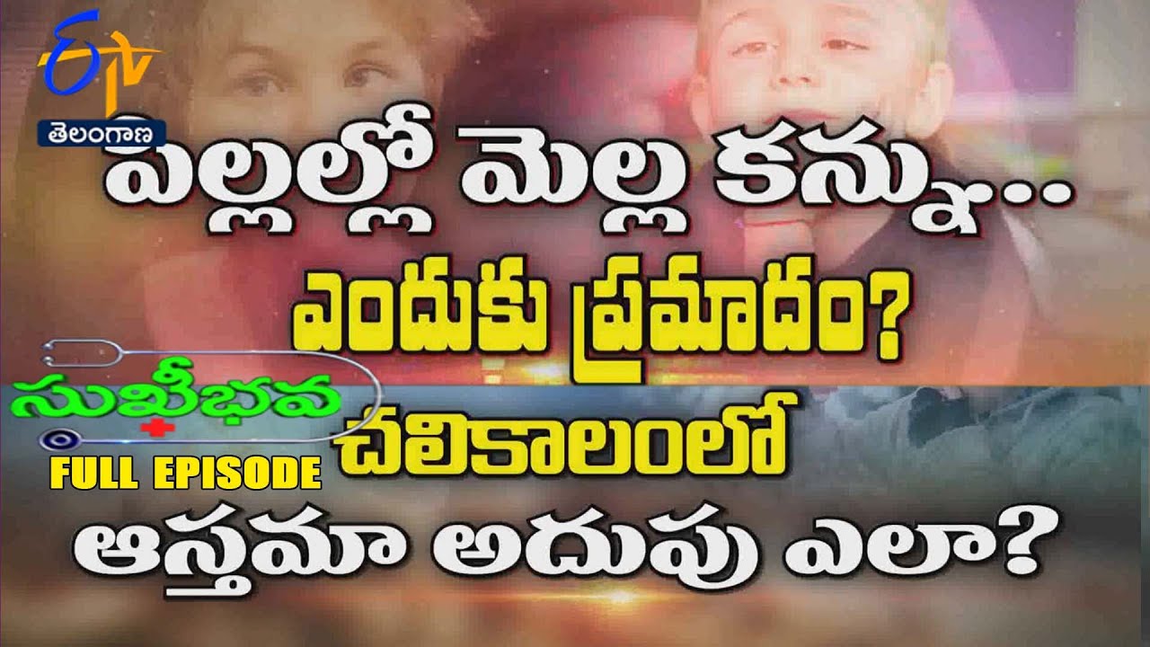 Sukhibhava | 27th December 2024 | Full Episode | ETV Telangana - YouTube
