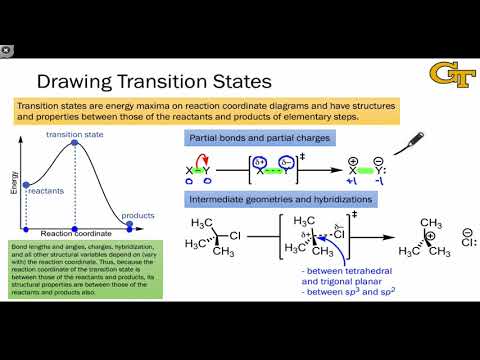 What is the difference between intermediates and transition states?