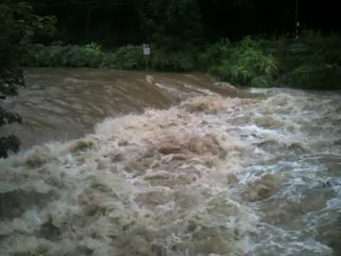 Picture 1476 - YouTube