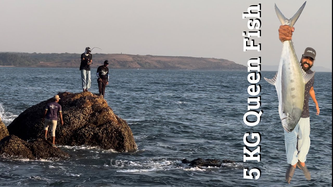 5KG Queen fish from Rock | Amazing Shore fishing from India #tackletips ...