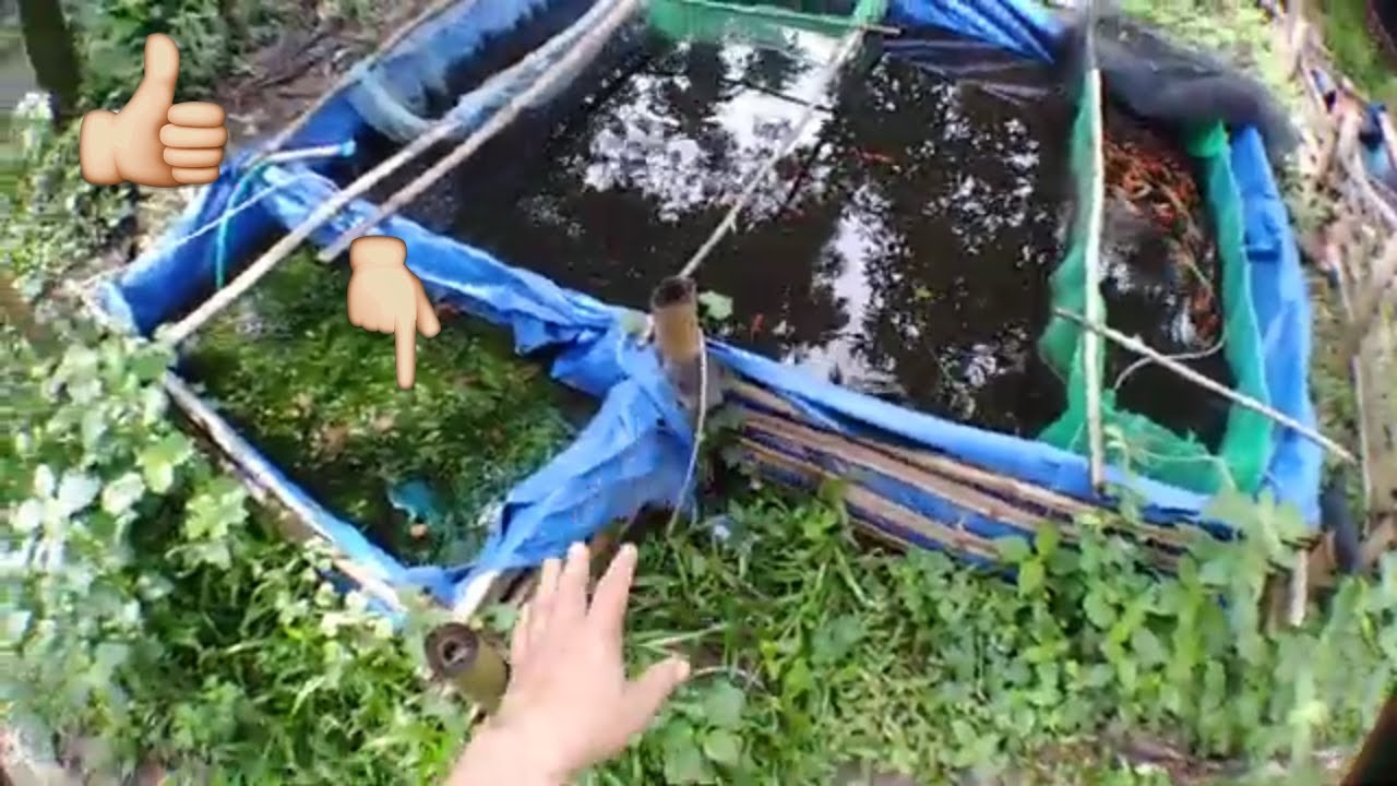 koi pond filter system setup bog filter diy live plants filter media ...