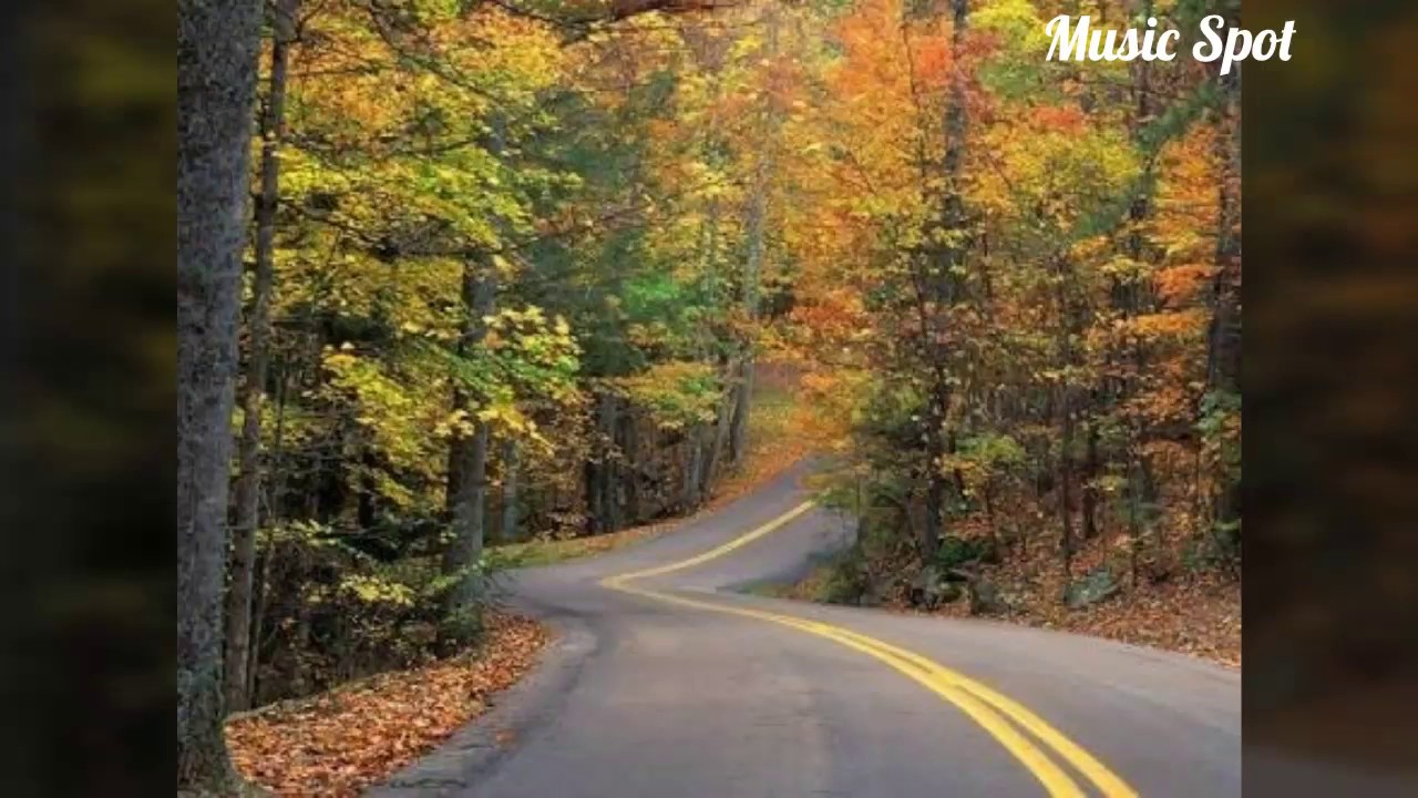 Tobu - Need U [ Creative Commons Dance & EDM ] - YouTube