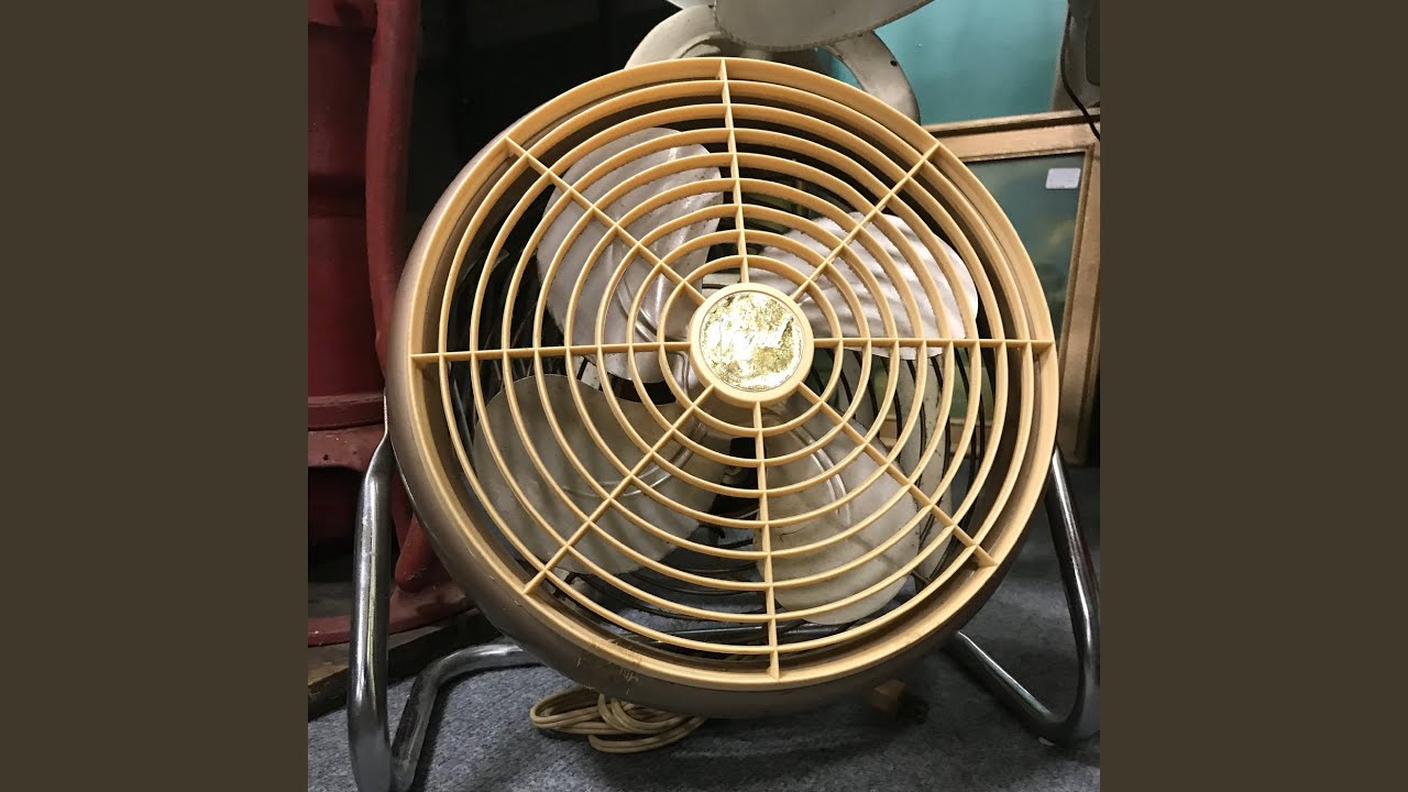 Number One Loopable Fan - YouTube