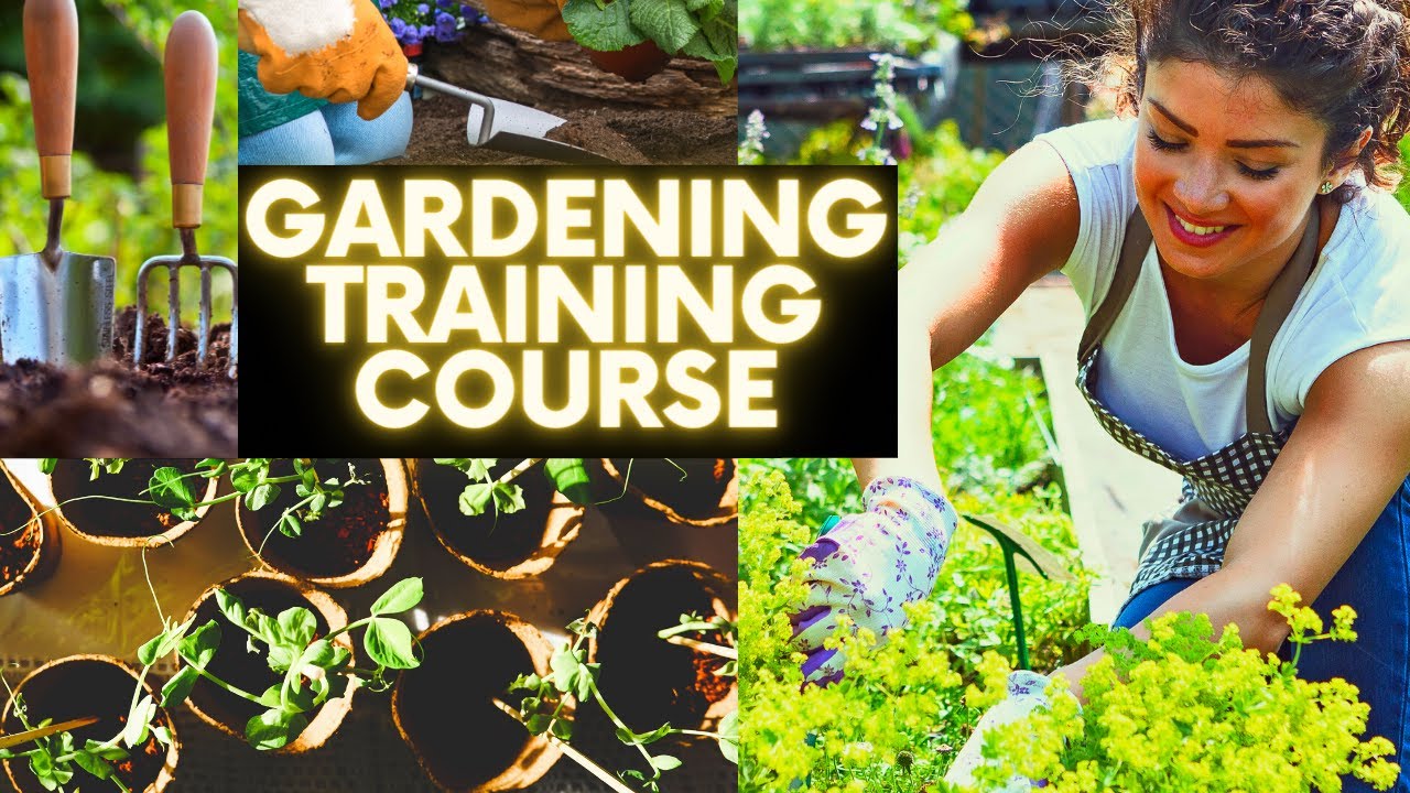 gardening training course:Local Harvest Organic Gardening Course - YouTube