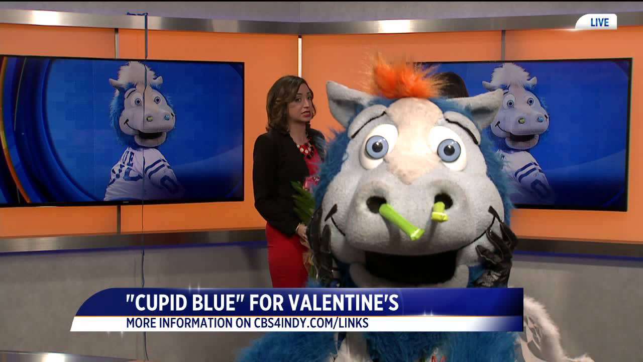 Colts mascot Blue to deliver Valentine's Day packages - YouTube