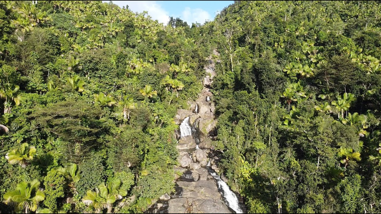 Naguabo "Infinity Pool" Hike - El Yunque, Puerto Rico - YouTube