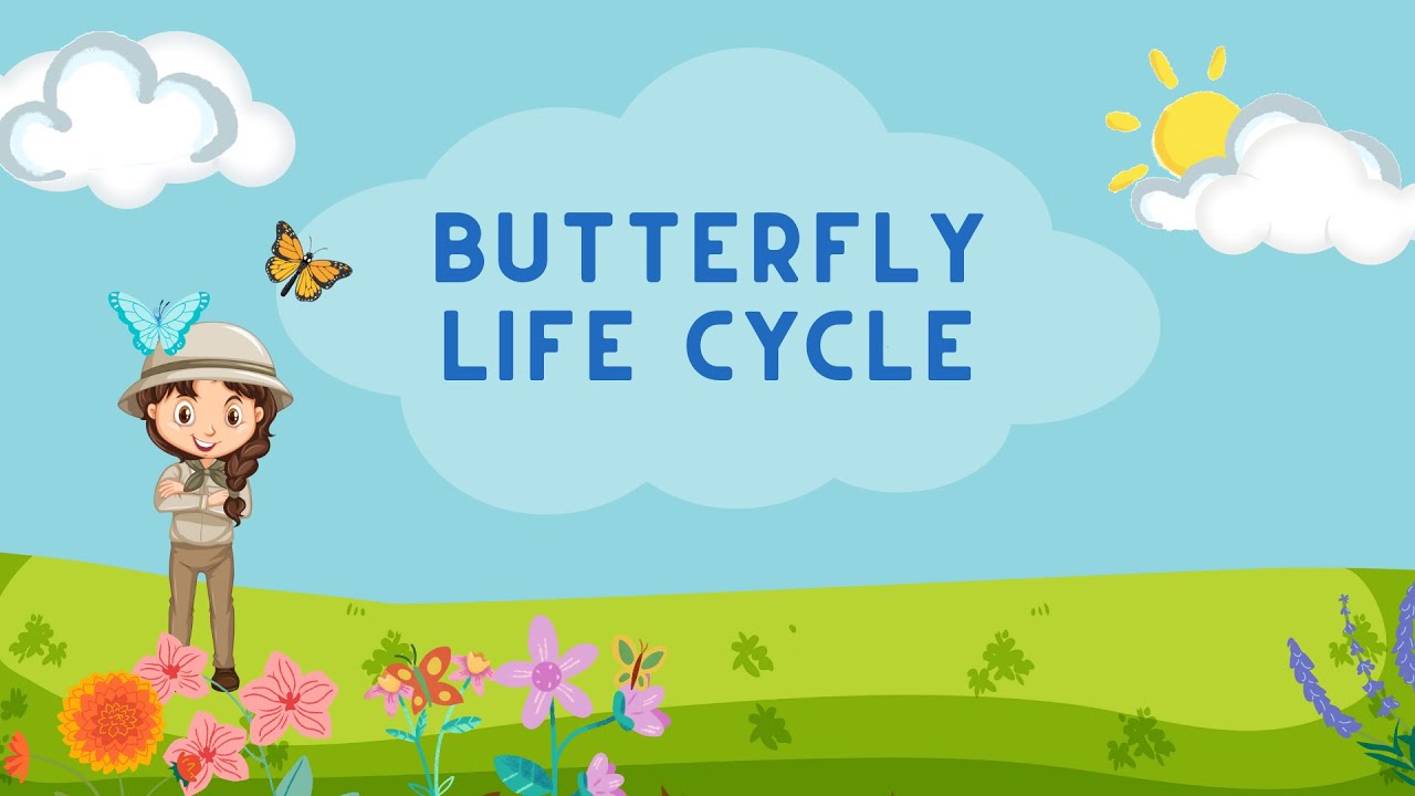 Butterfly Life Cycle | Butterfly Song | ABC SONG | Learn About ...