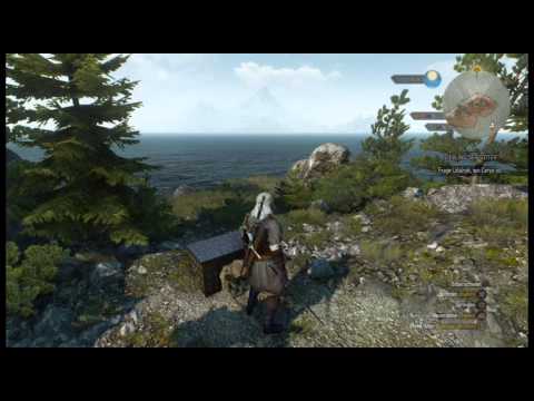 THE WITCHER 3 SECRET ISLAND HIDDEN SWORD TREASURE - YouTube