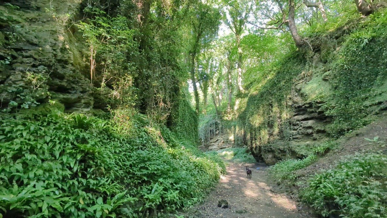Seaham Dene summer exploration 1 - YouTube
