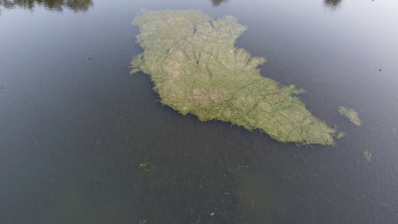 Yerrabi Pond - YouTube