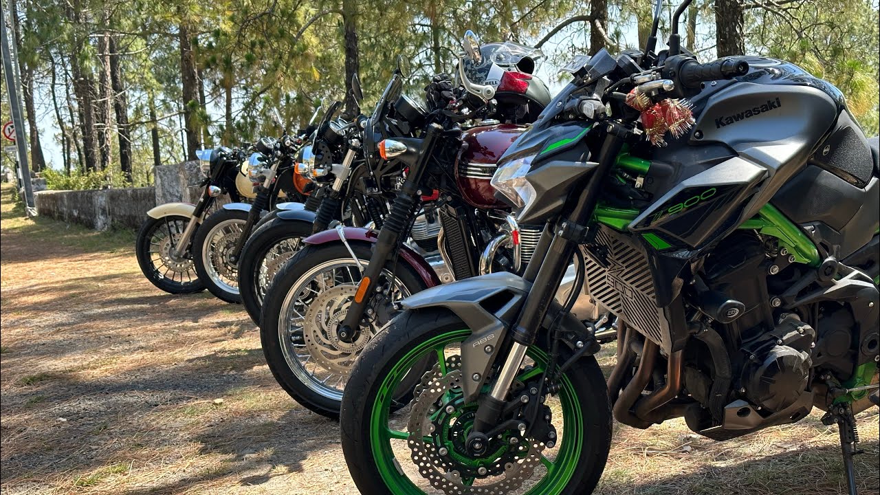 She haat short clip - YouTube