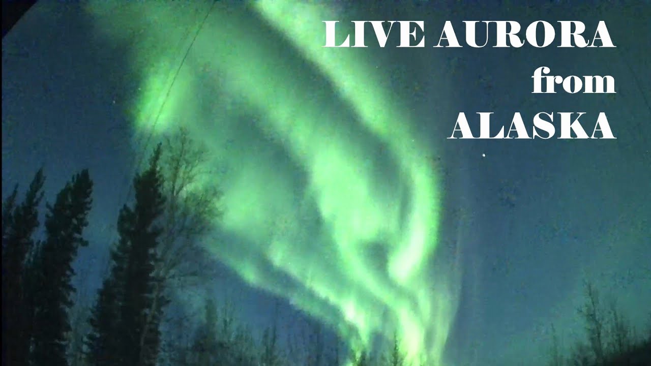LIVE! Alaska Aurora Live Stream Sep 28-29, 2024 - YouTube