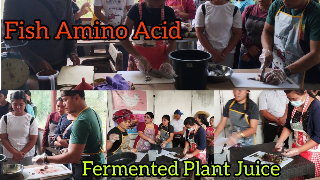 Making of Organic Concoctions/Fertilizer - YouTube