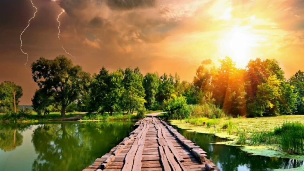 Daniel Bejan - Te-am vazut in orice floare - YouTube