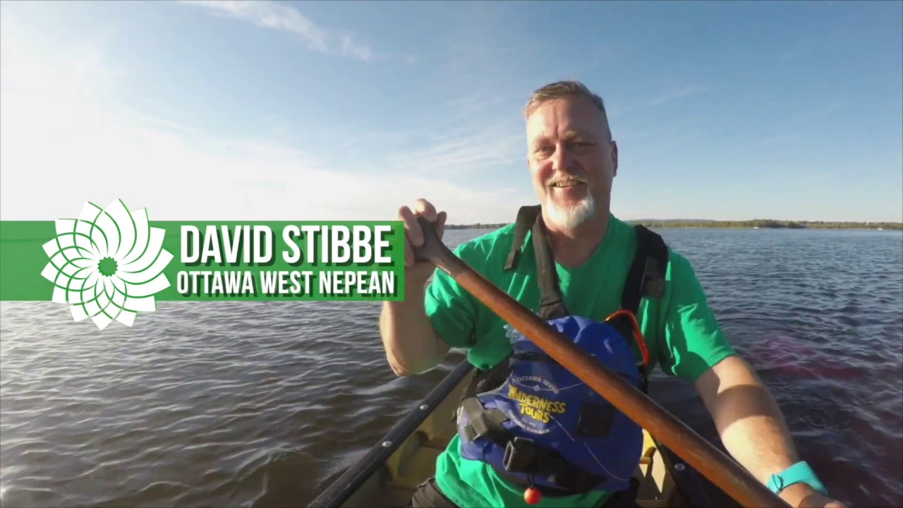 Vote David Stibbe - YouTube