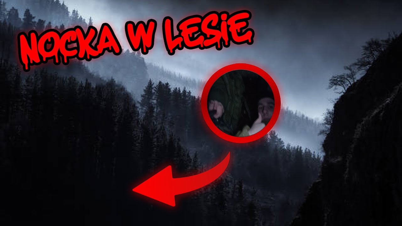NOCKA W LESIE... 🌳🌳 - YouTube
