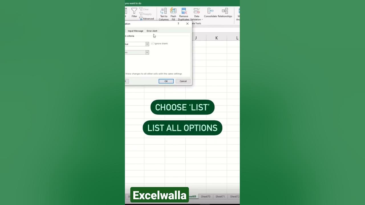 Dropdownlist Excel Viralshorts Excelhacks Trendingshorts Youtube