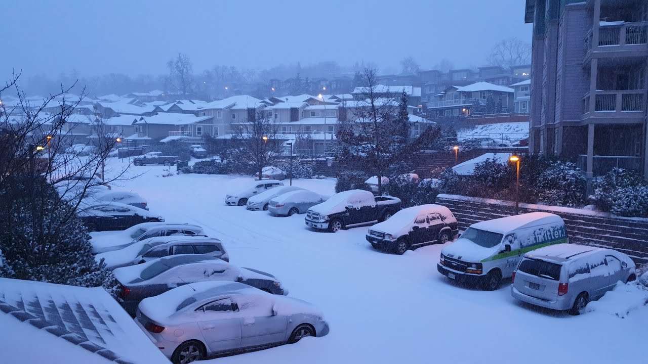 Overnight progression of snow in Victoria, BC, Canada 🇨🇦 Feb 12, 2021 ...