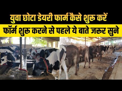 6 साल में कैसे गिर के उठने तक सफर/dairy farm bihar/cow farm bihar/hf ...