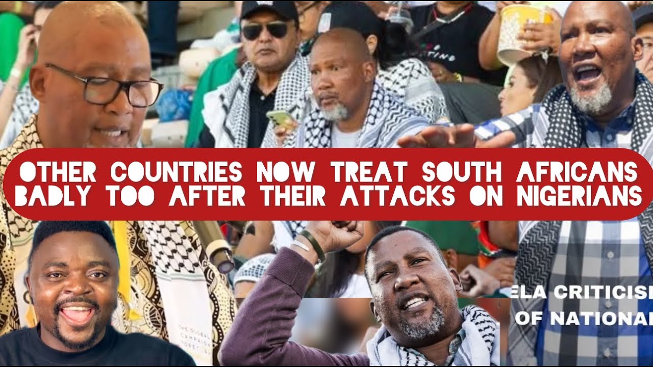 South Africans Now Treated Badly in Other Countries After Attacks on ...