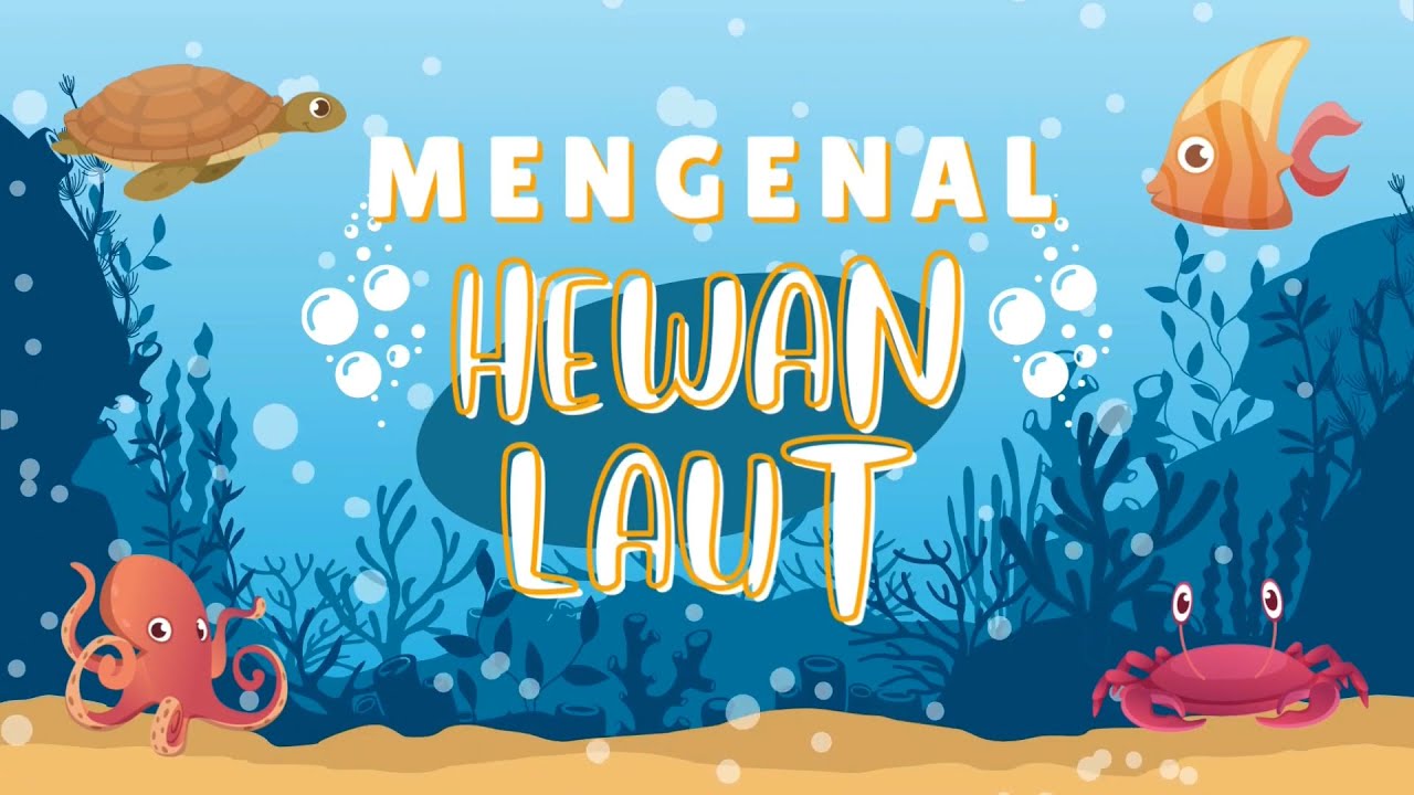 Belajar Mengenal Nama-nama Hewan Laut | SnB Kids - YouTube