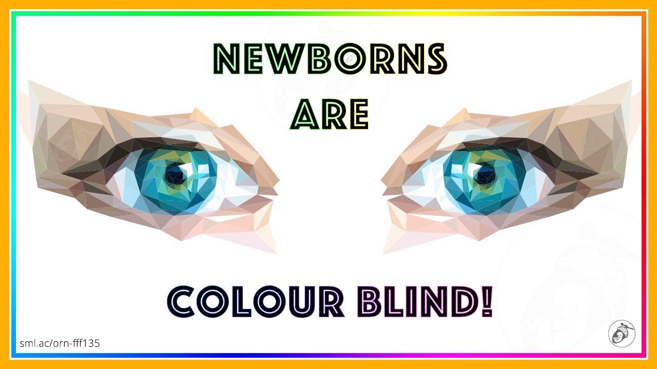 A Baby's Colour Vision Development | FFF 135 - YouTube