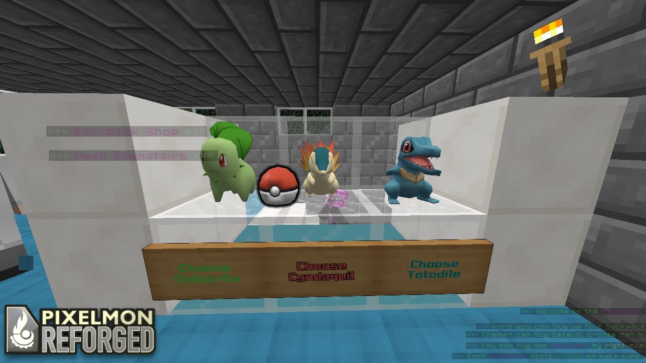 Johto Journey - Pixelmon Gold/Silver #1 - YouTube